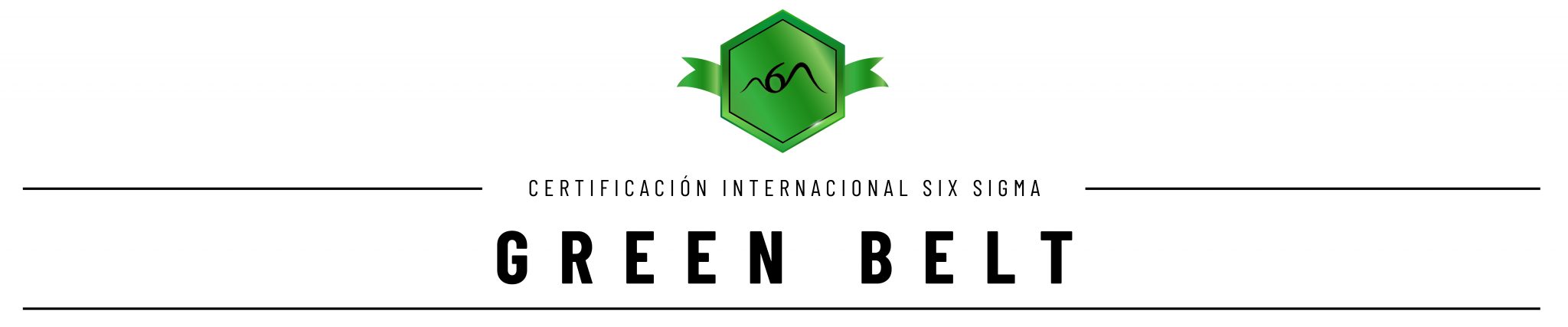 Certificación Internacional Six Sigma Green Belt – Acosixsigma